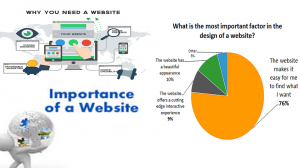 Importance of Website